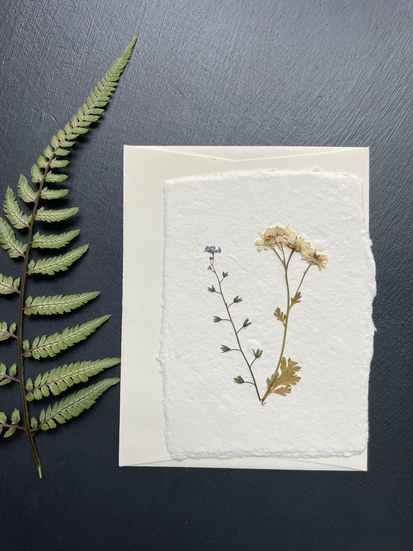Pressed Flower Note Card - Etsy