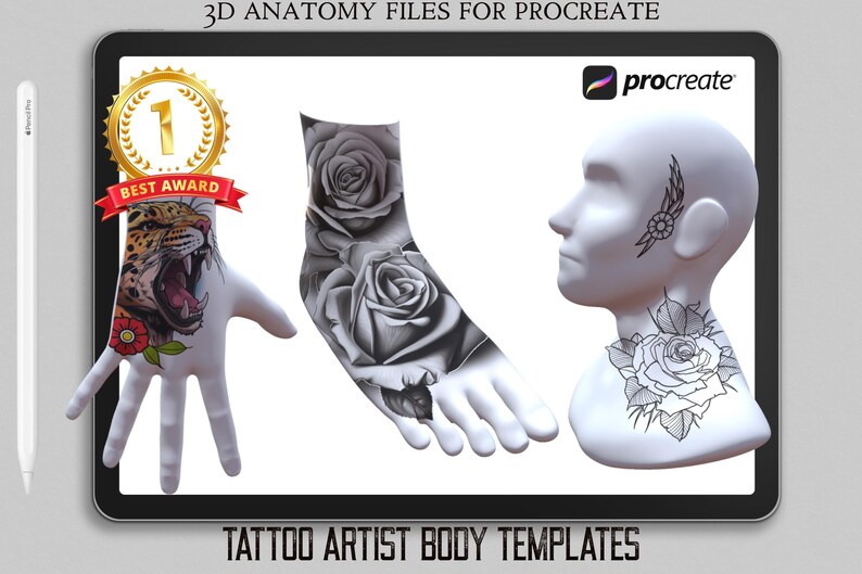 Procreate, 3d Anatomy Models for Artists! - Etsy