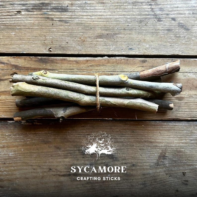 Natural Wood Crafting Sticks: Oak, Ash, Sycamore, Sweetgum Bundle - Etsy