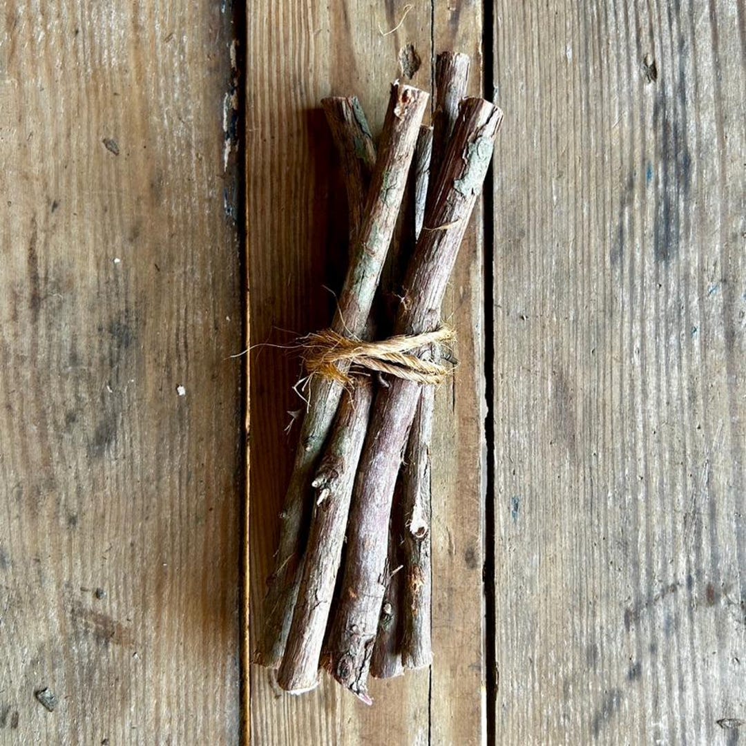 Natural Red Cedar Twigs: Crafting Sticks, Insect Repellent - Etsy