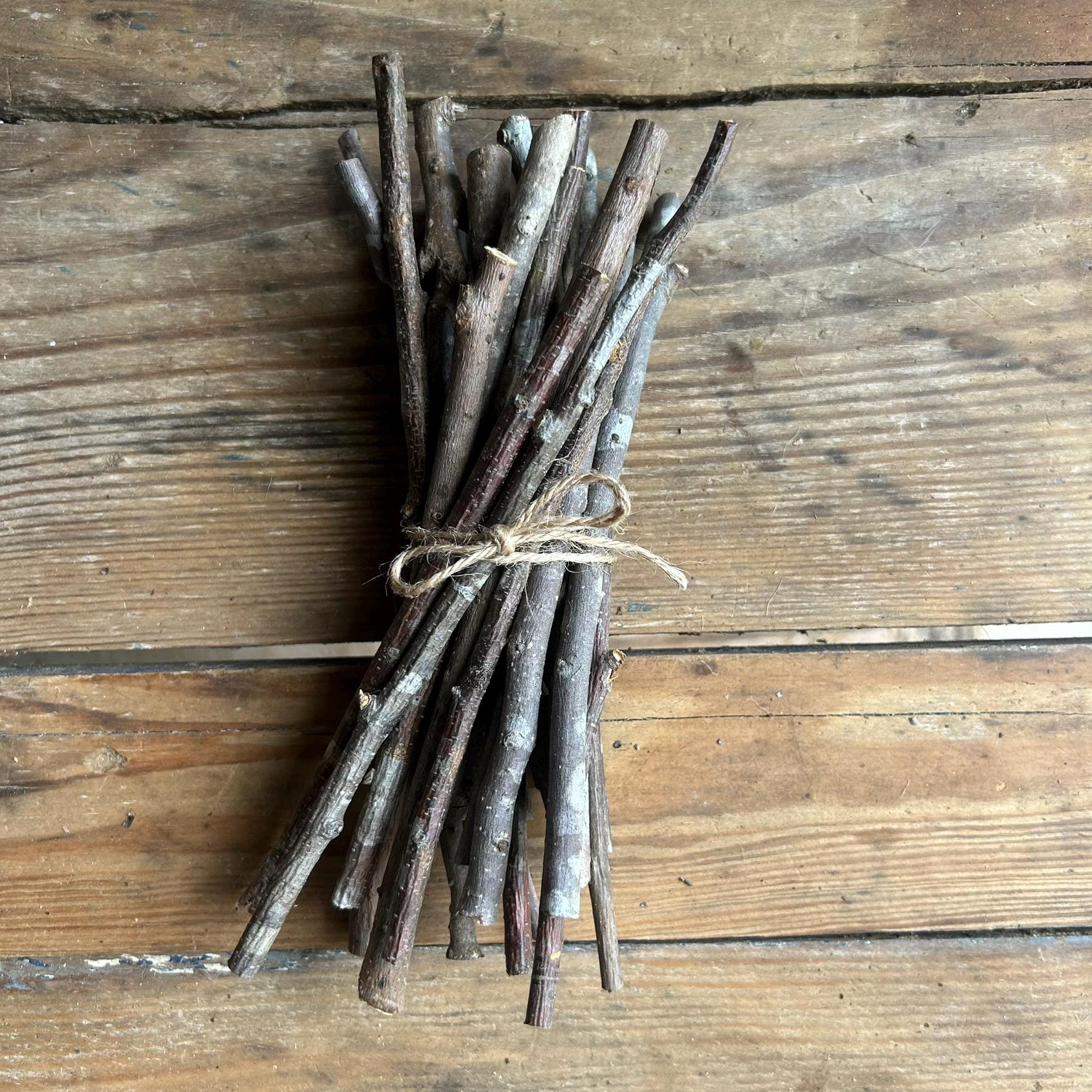 Foraged Persimmon Wood Crafting Sticks: 6" Wand Blanks, Ritual Tools - Etsy