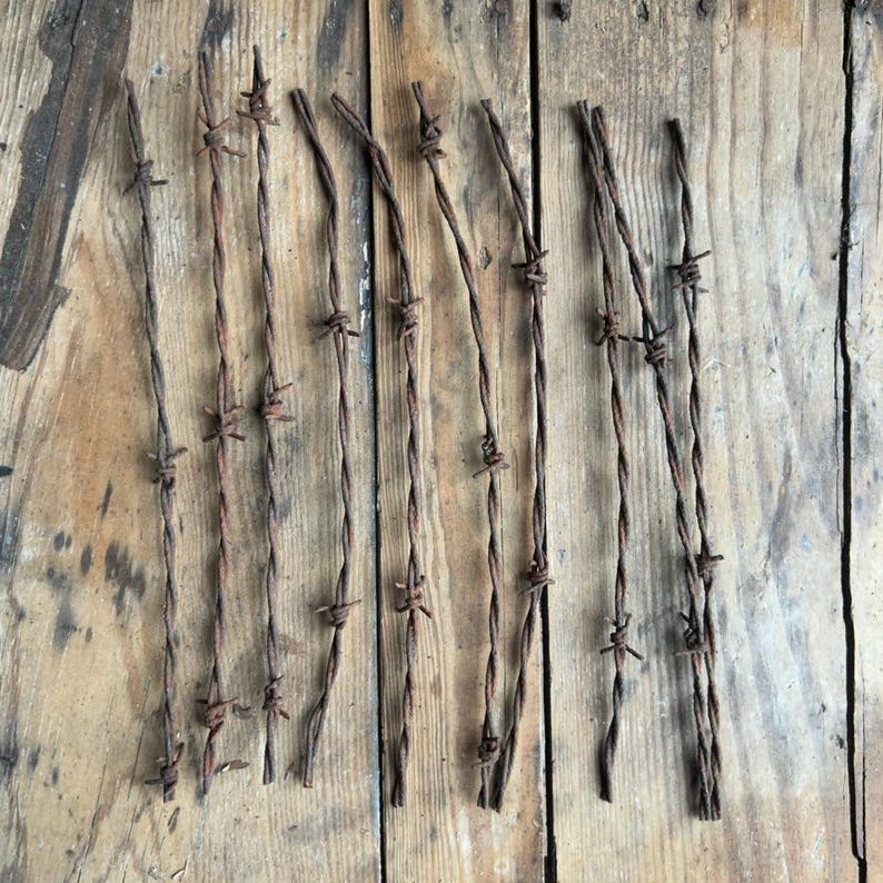 Vintage Rusty Barbed Wire Fence | Reclaimed 1940s Farm Hardware ...