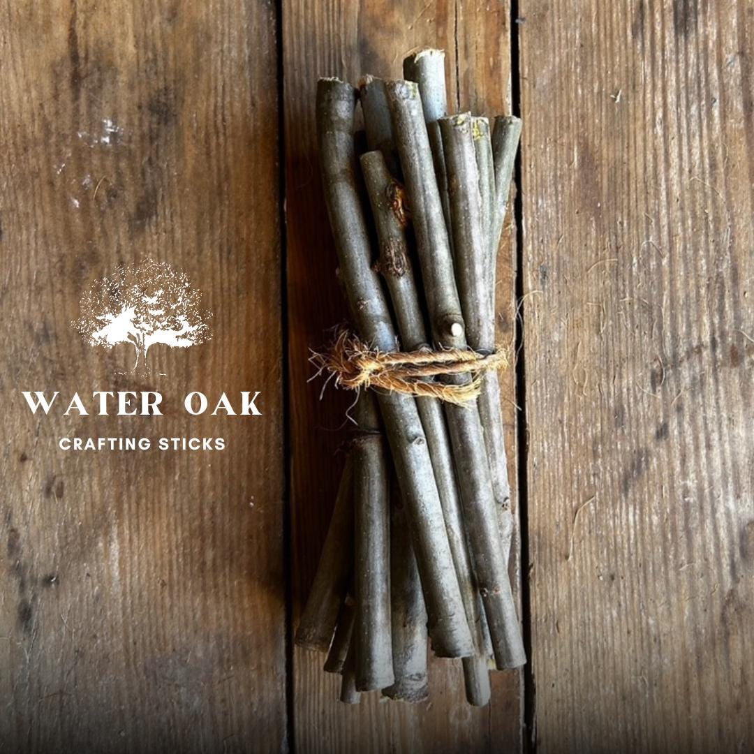 Natural Wood Crafting Sticks: Oak, Ash, Sycamore, Sweetgum Bundle - Etsy