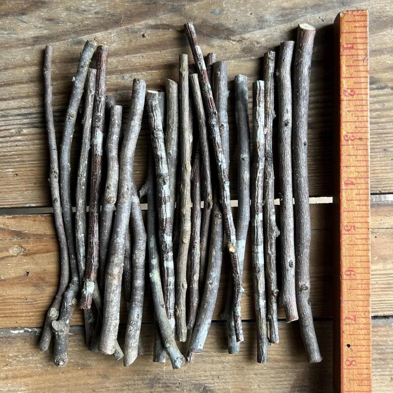 Foraged Persimmon Wood Crafting Sticks: 6" Wand Blanks, Ritual Tools - Etsy