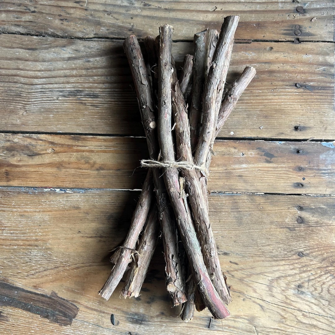 Eastern Red Cedar Wood Sticks: Bundle of Ten 12" Crafting Sections ...