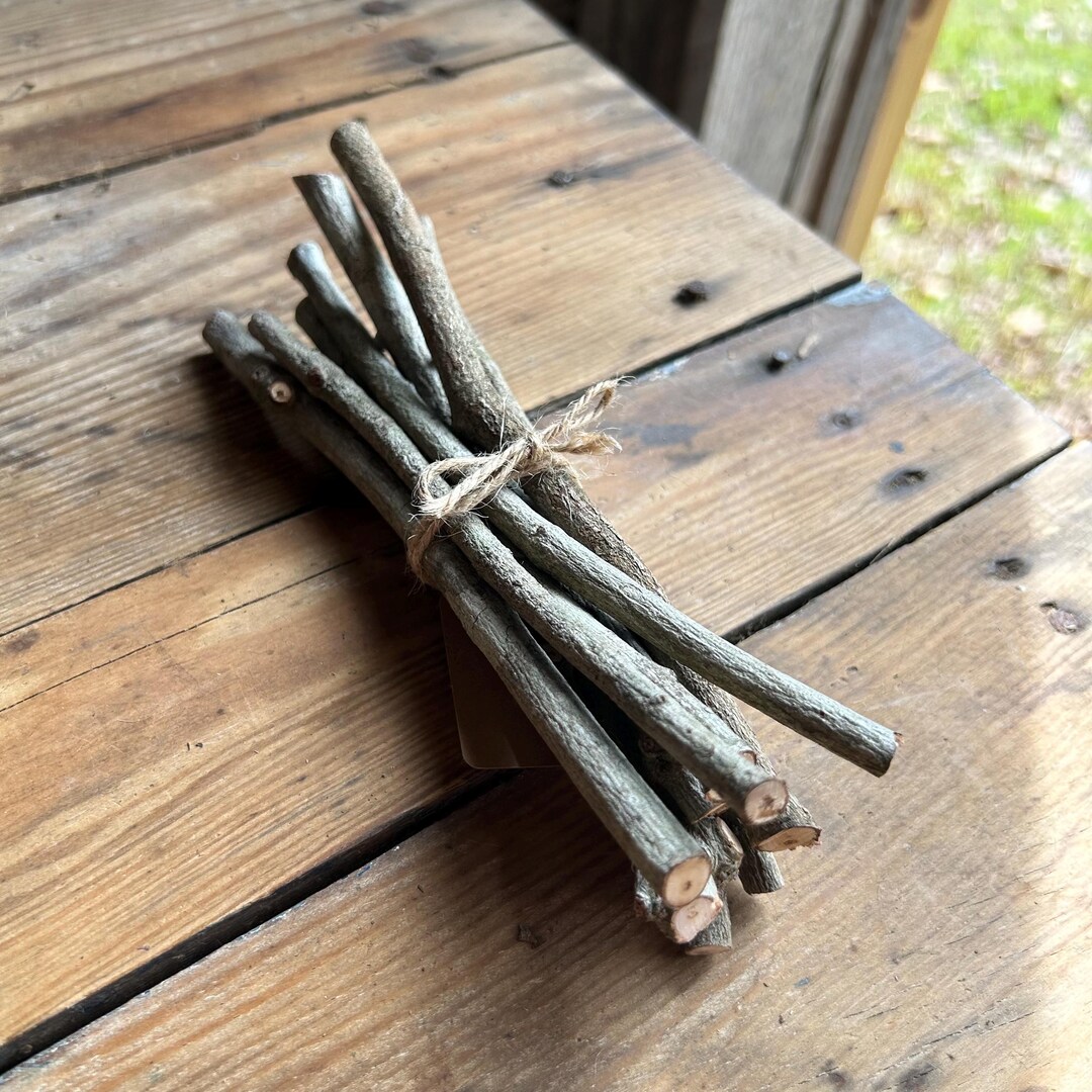 Natural Dogwood Crafting Sticks: 6" Rustic Craft Branches, Altar Decor ...