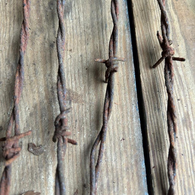 Vintage Rusty Barbed Wire Fence | Reclaimed 1940s Farm Hardware ...