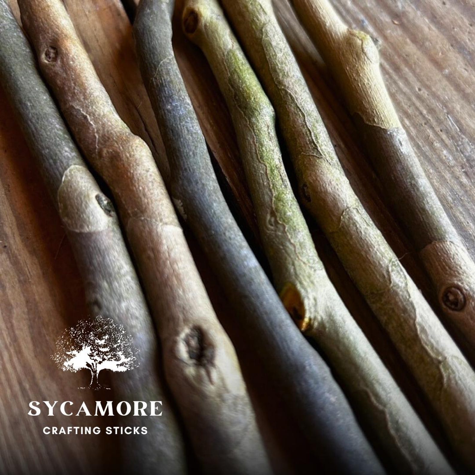 Natural Wood Crafting Sticks: Oak, Ash, Sycamore, Sweetgum Bundle - Etsy