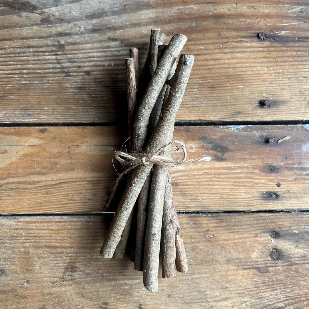 Swamp (sweet Bay) Magnolia 6" Crafting Wood Sticks Bundle of 10 | Altar ...