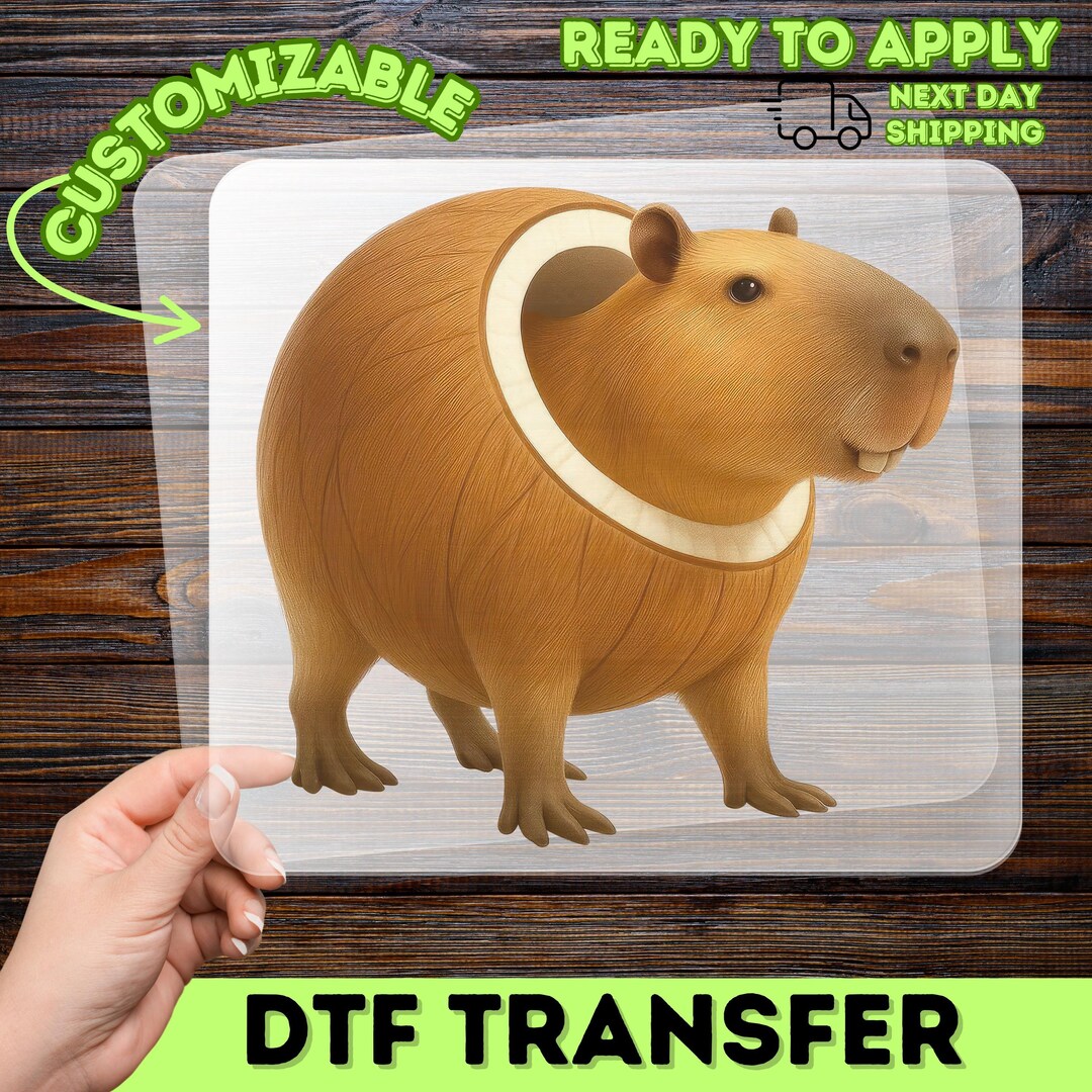 Quirky Coconut Capybara Meme Heat Transfer, Funny Animal Humor Italian ...