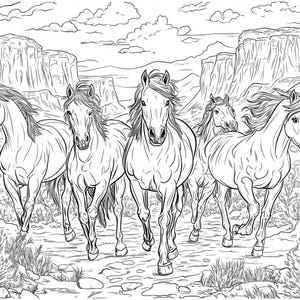 Coloring Pages for Adults, Wild Horses, Instant Download, High ...