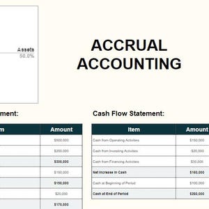 Editable Accrual Accounting Template for Google Sheets, Digital ...