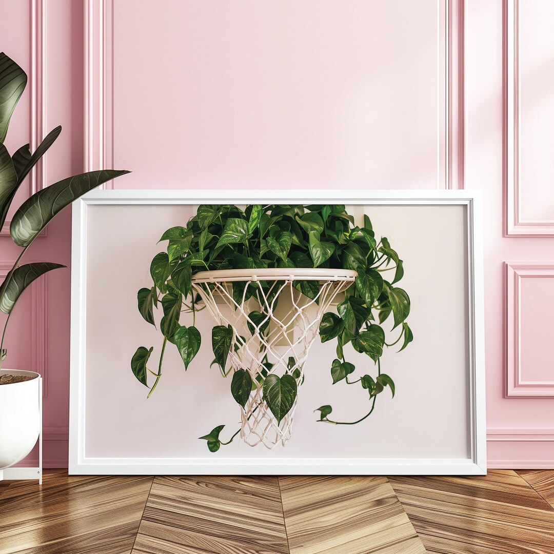Basketball Net With Overgrown Pothos, Off-white Wall, Plant, Greenery ...