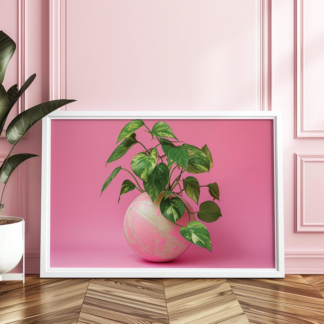 Basketball Growing Pothos, Pink, Plant, Greenery, Lush, Digital ...