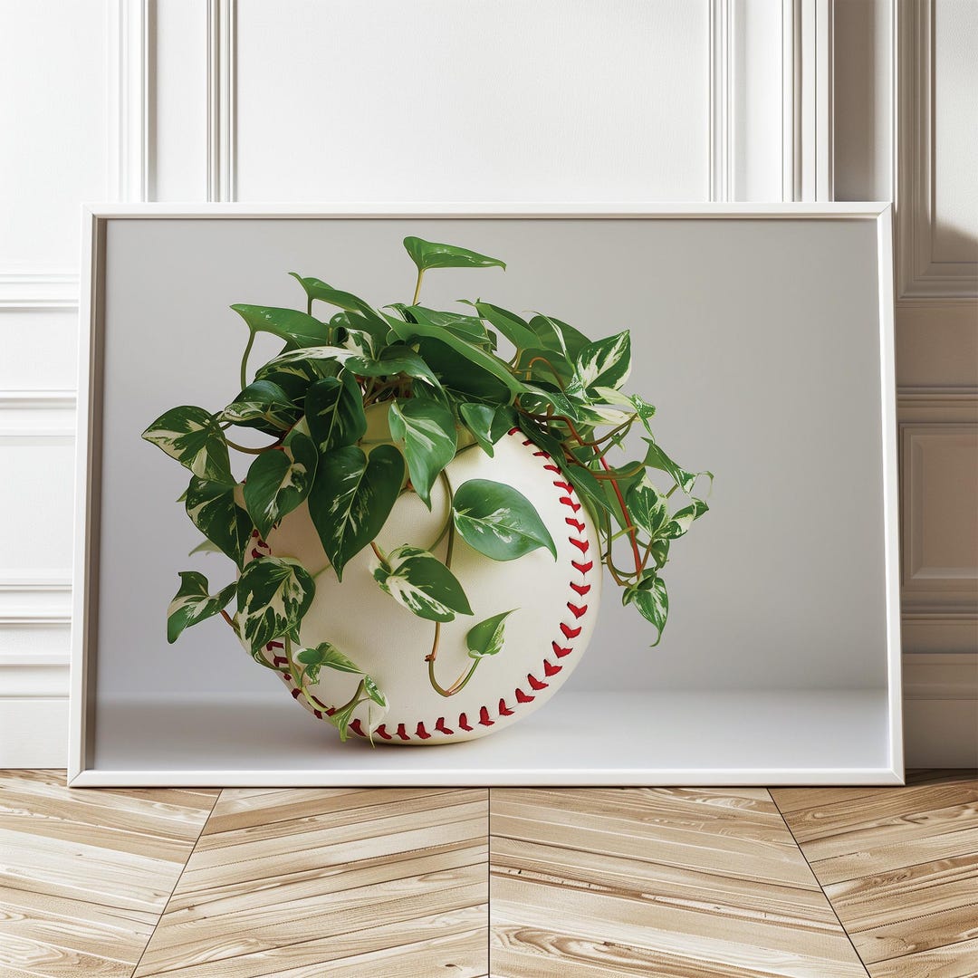 Baseball Planter Growing Pothos, White, Plant, Greenery, Lush, Digital ...