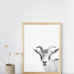 Set of 6 Farm Animal Prints, Farm Animal Prints Set, Farm Animal ...