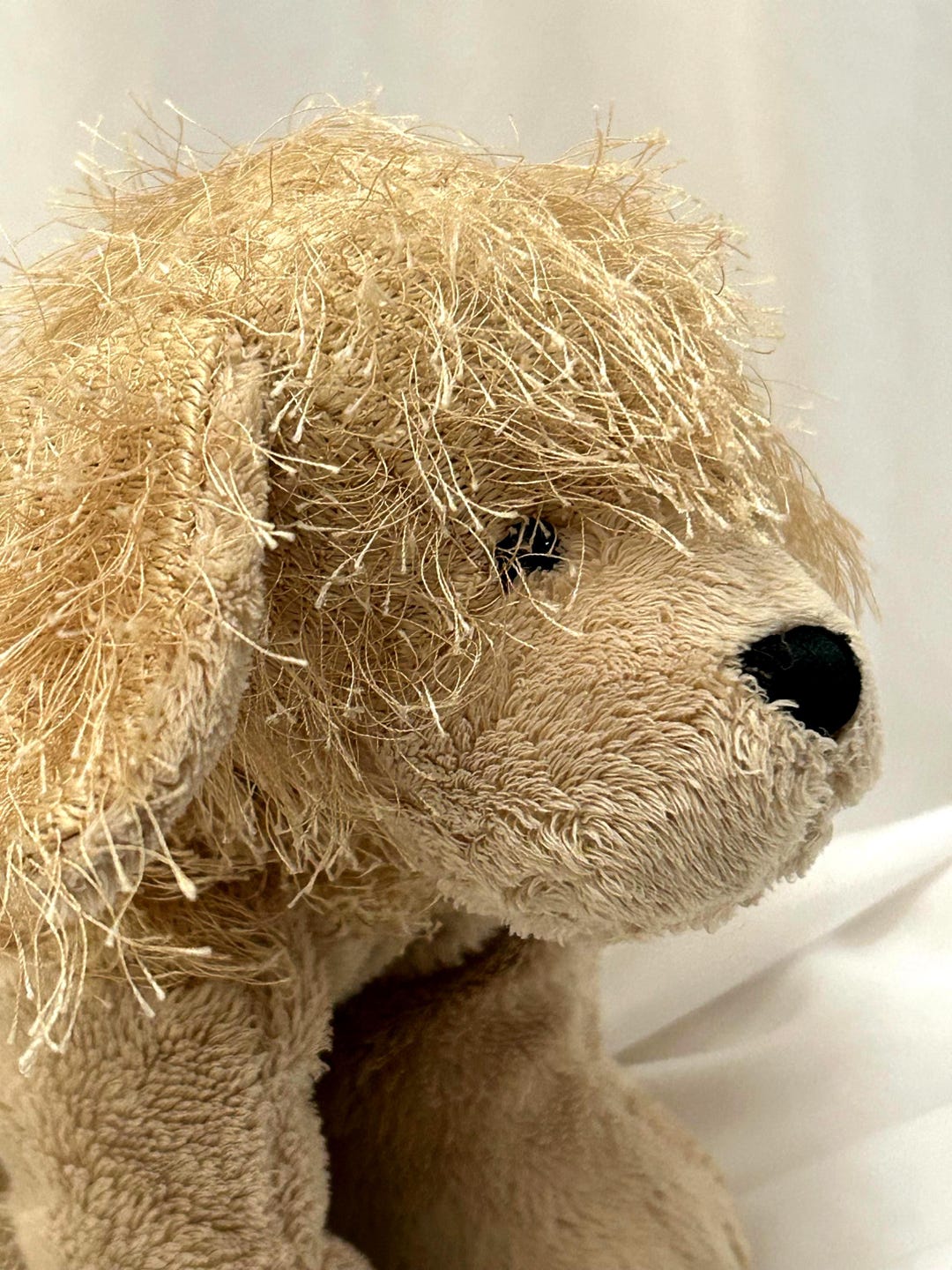 Webkinz Cocker Spaniel Plush 8 1/2": Ganz Collectible Stuffed Dog - Etsy