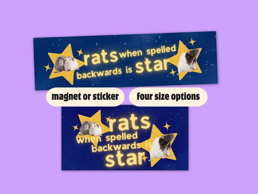 Rats is Star Backwards Bumper Sticker: Waterproof Car Decal - Etsy