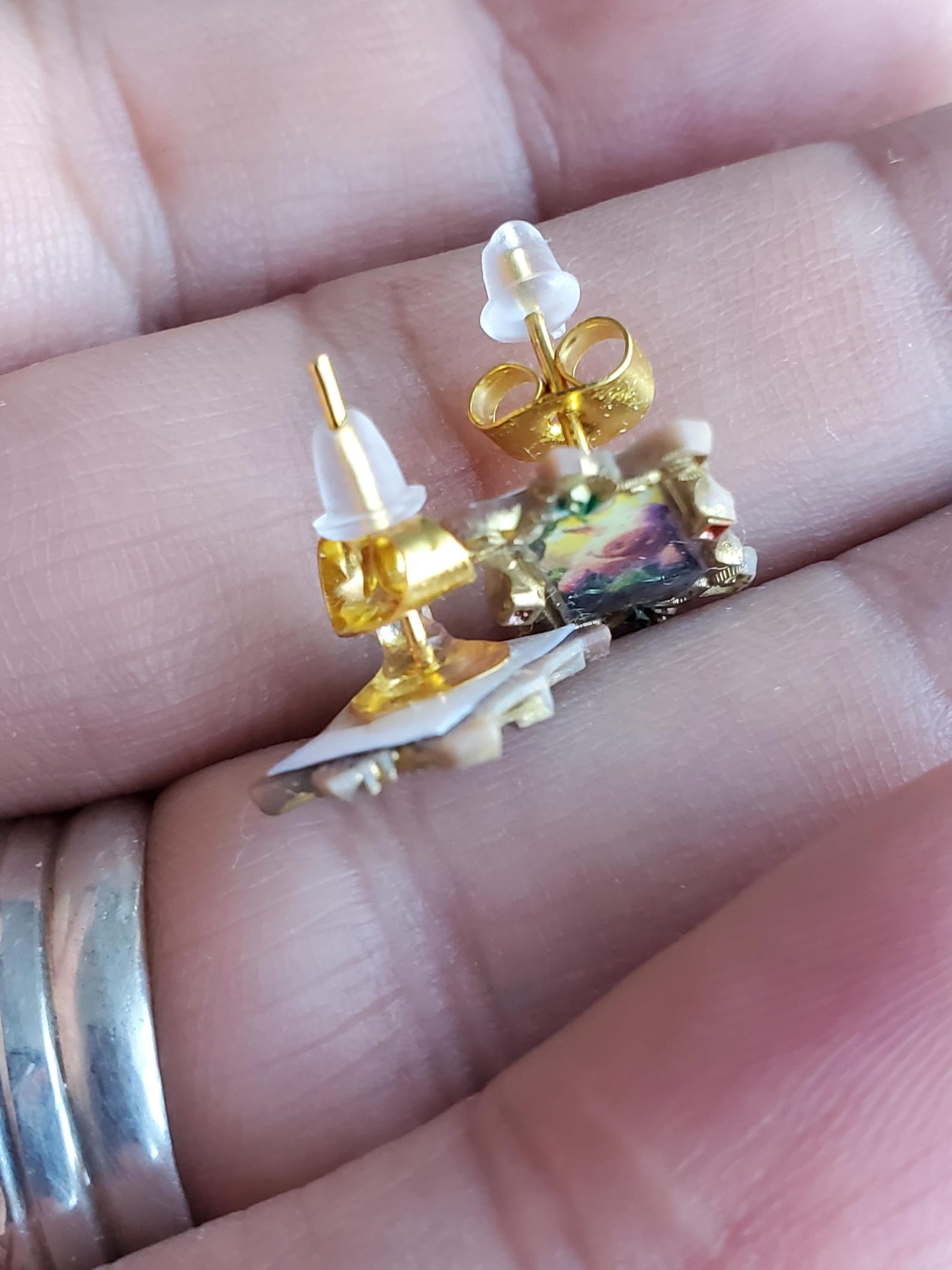 Pirates Thieves of the Seas Greedy as a Pig Gold Frame Earings - Etsy