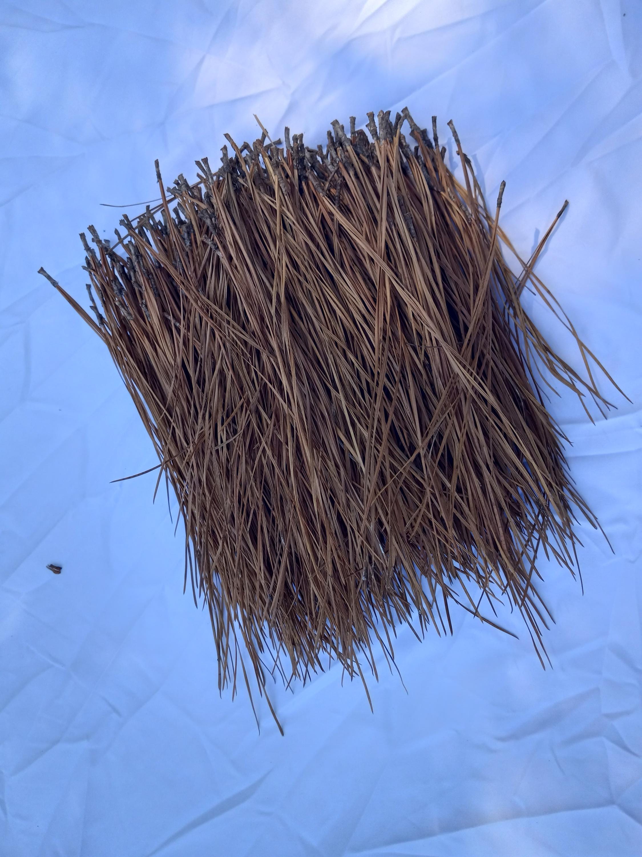 Pine Needles, for Weaving, Crafts, and Decor - Etsy