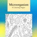 Microorganisms Coloring Pages - Etsy