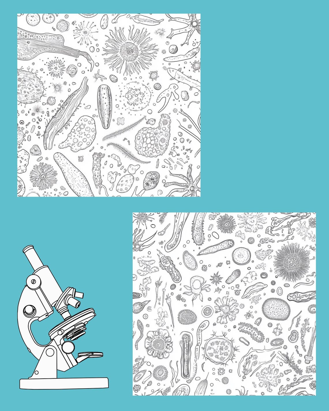 Microorganisms Coloring Pages - Etsy
