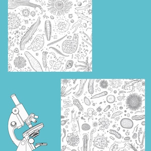 Microorganisms Coloring Pages - Etsy