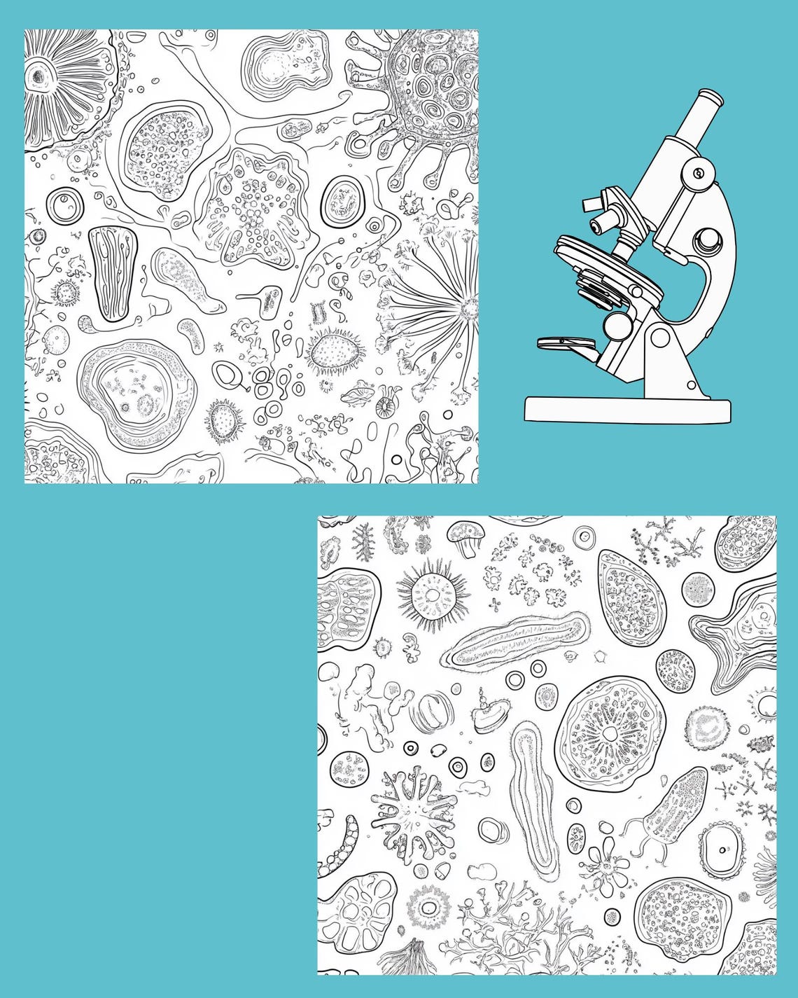 Microorganisms Coloring Pages - Etsy
