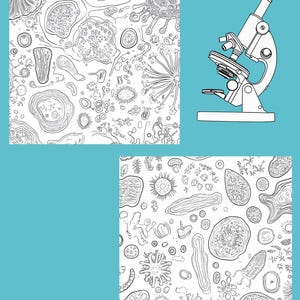 Microorganisms Coloring Pages - Etsy