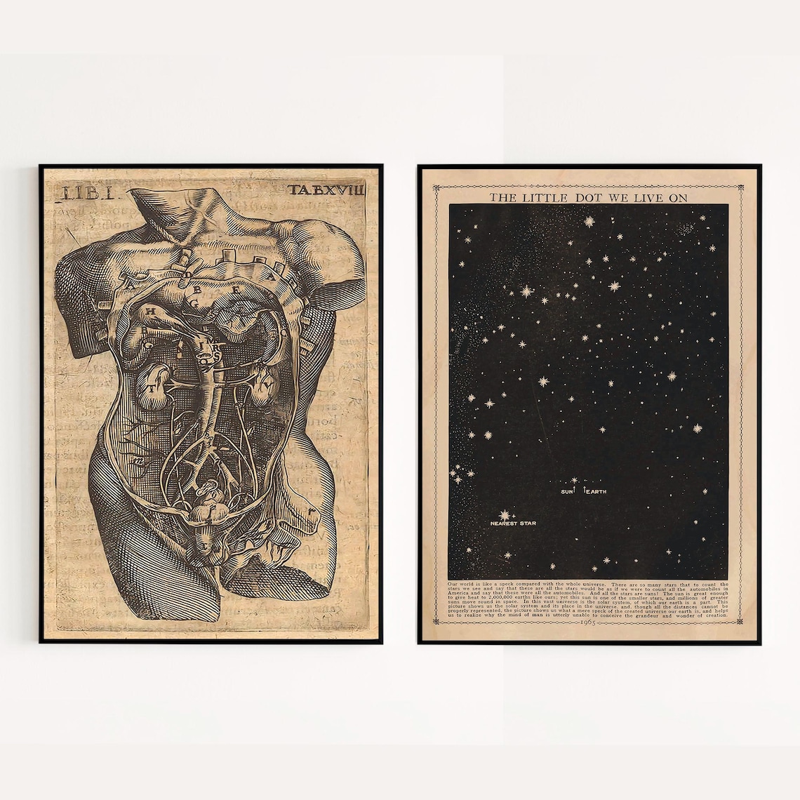 15 Grunge Dark Aesthetic Posters, Vintage Posters, Grunge Room Decor ...