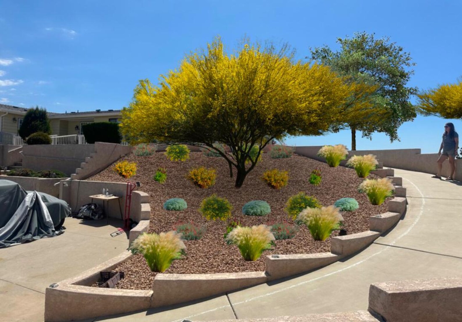 Custom Landscape Design (3 Images Plus a Plant Identification Key) - Etsy
