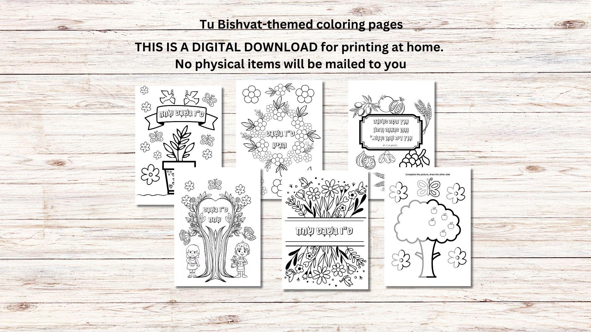 Tu Bishvat Coloring Pages Set – Six Original Designs in Hebrew ...