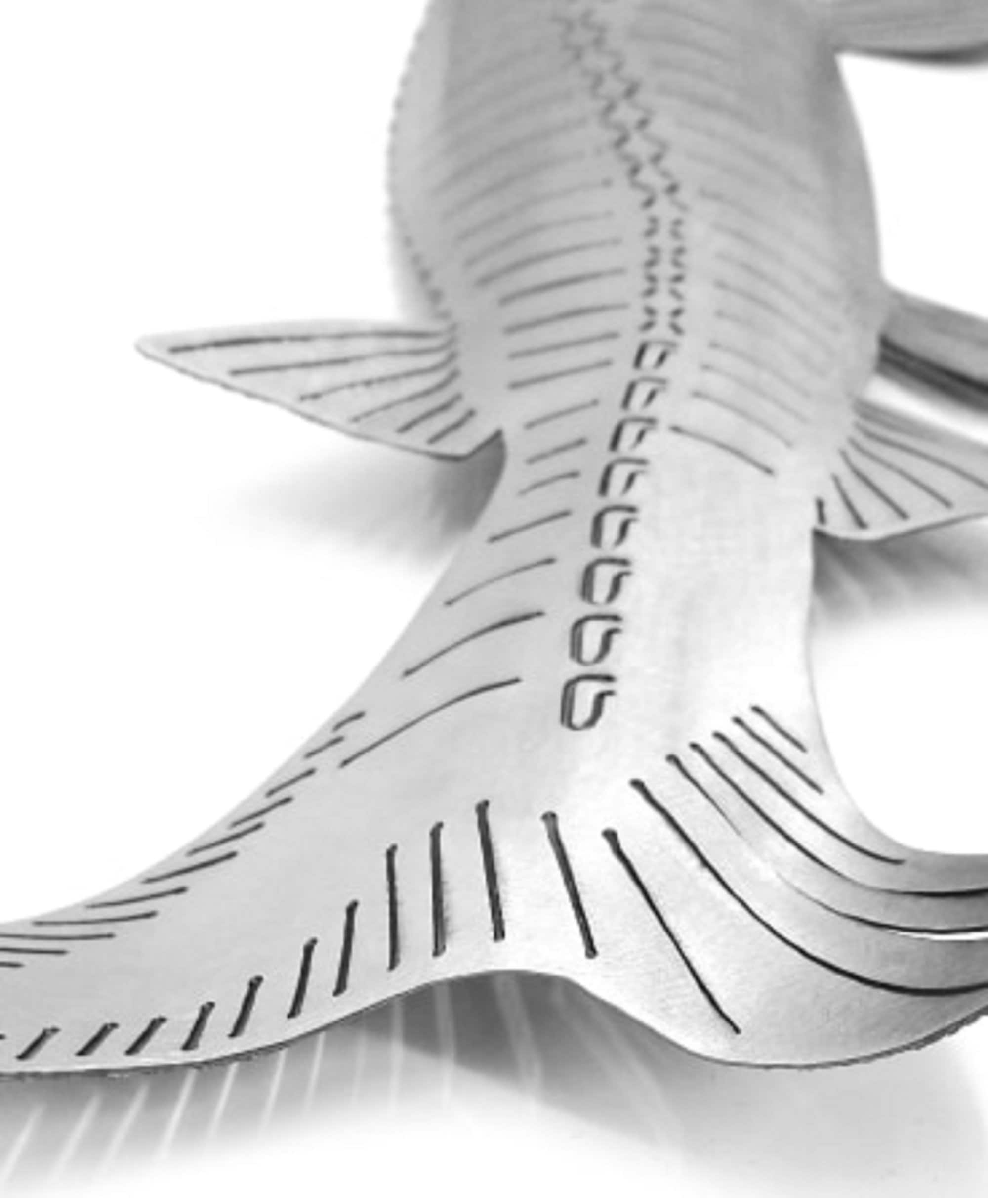 Metal Sturgeon Wall Hanging - Etsy