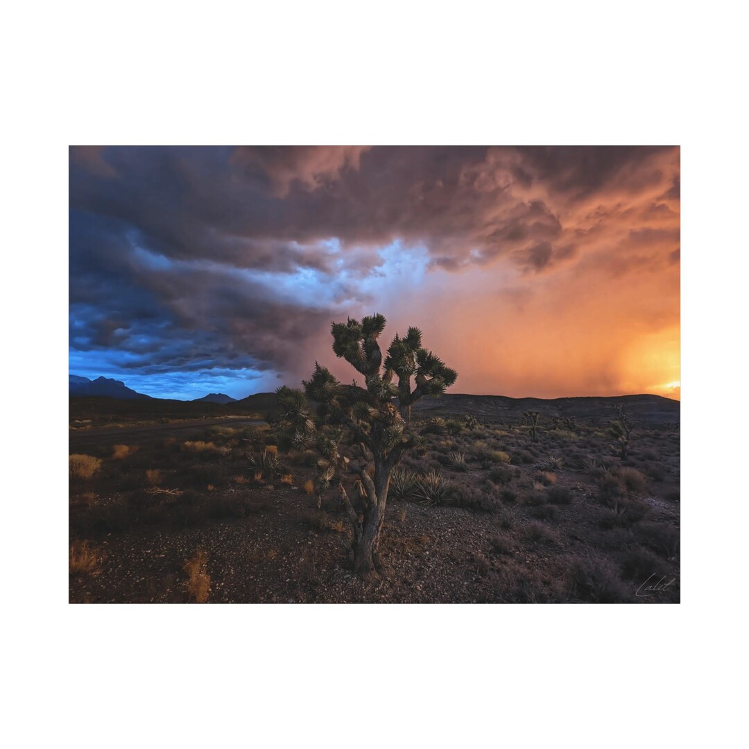 Canvas Wall Art Joshua Tree Monsoon Storm Sunset in the Mojave Desert Near Las Vegas, Nevada - Etsy