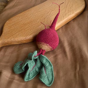 BEETROOT Crochet Pattern - PDF Crochet Pattern - Etsy