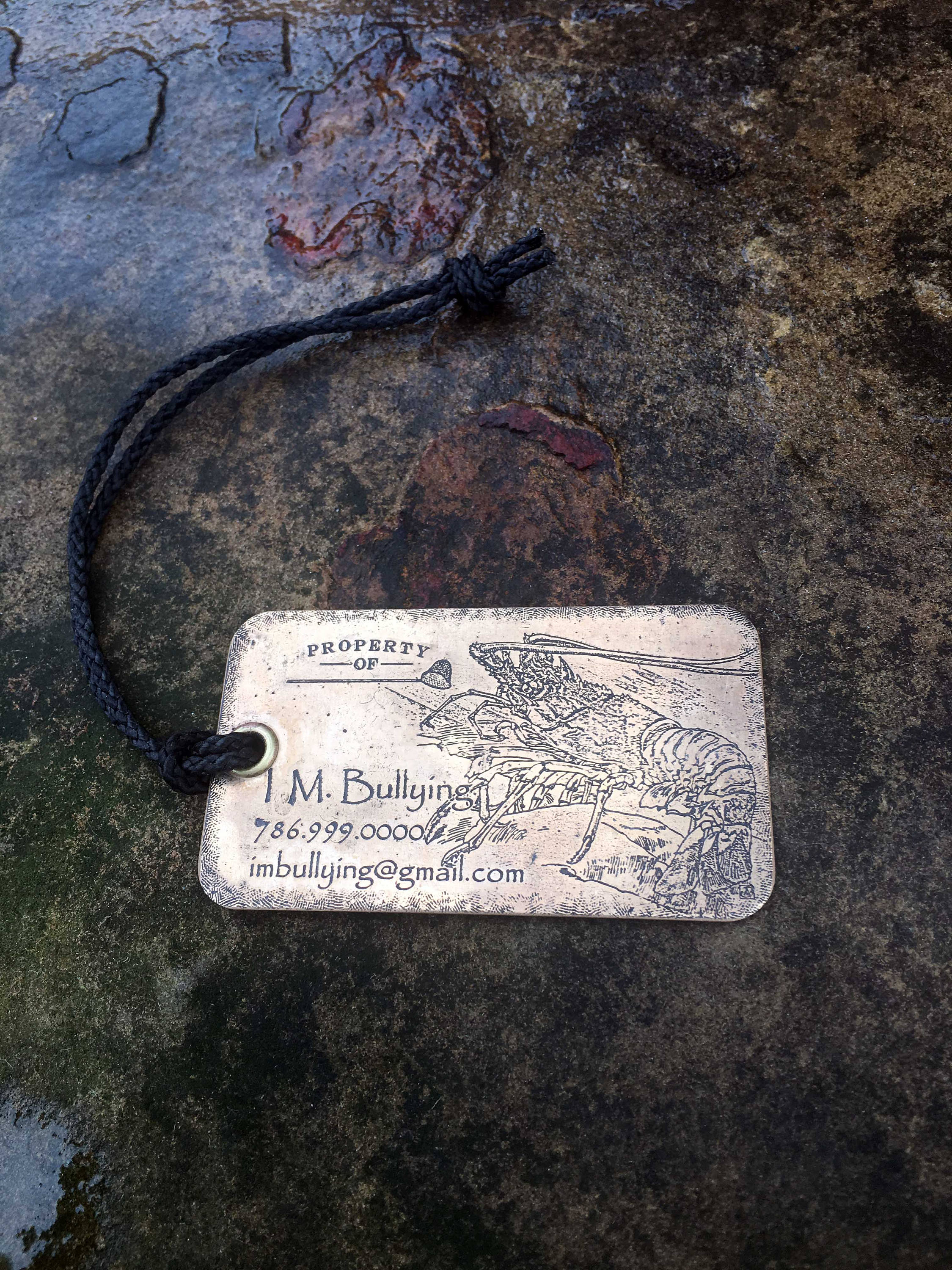 Set of two (2) Personalized Metal Luggage Tags, Diving Bag Tags ...