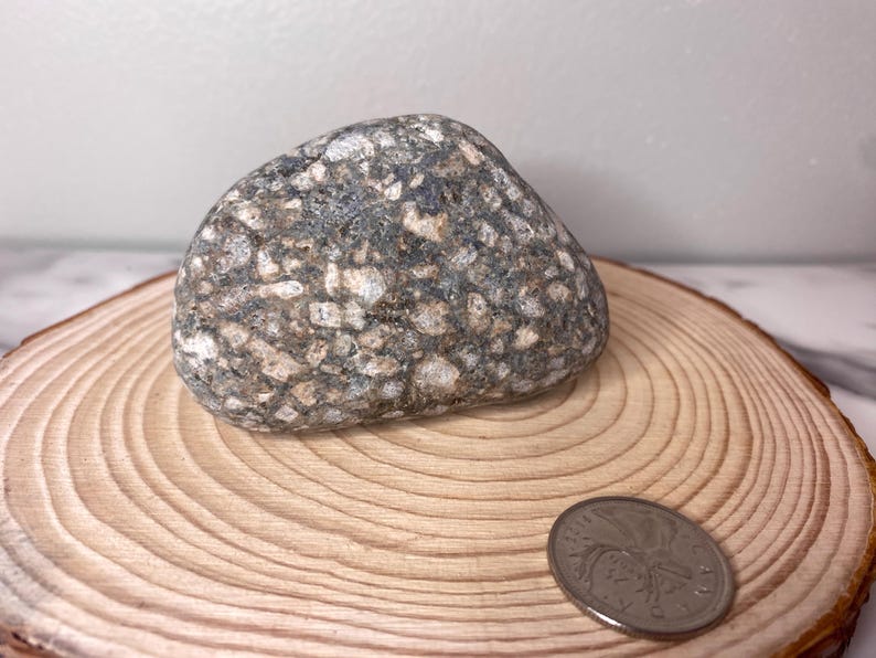 Crystal Rich Vancouver Island Porphyry - Etsy