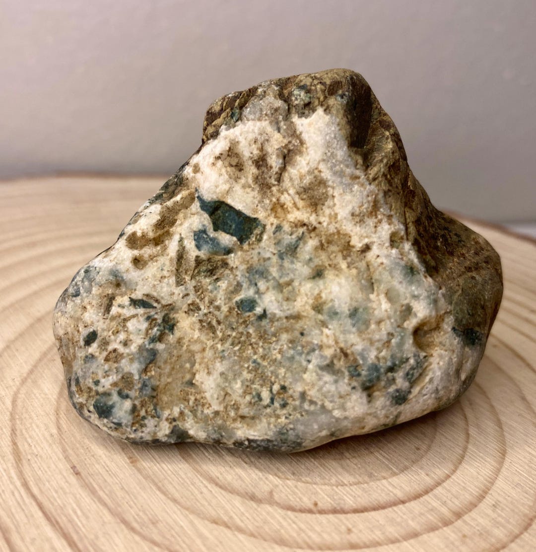 Trace Fossil Fish Specimen in Quartz/dallasite Breccia Jasper - Etsy