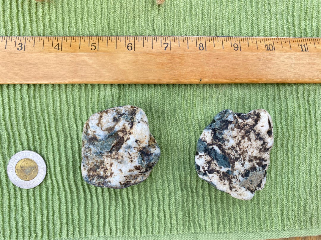 Trace Fossil Quartz X Dallasite Fragments - Etsy