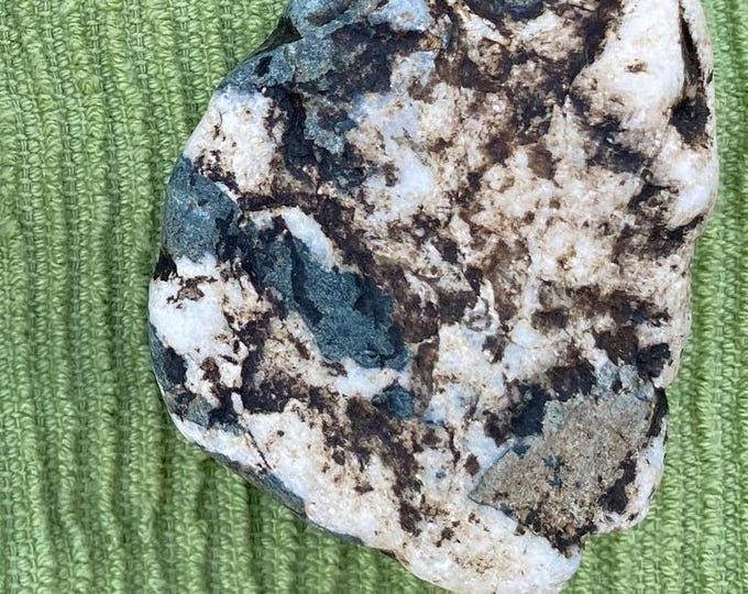 Trace Fossil Quartz X Dallasite Fragments - Etsy