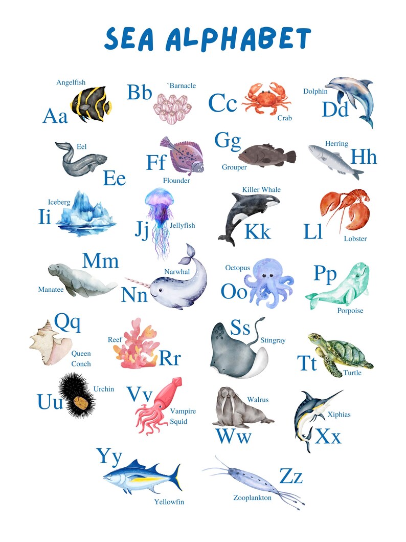 Minimalistic Sea Alphabet Poster for Kids HD, Educational Poster ...