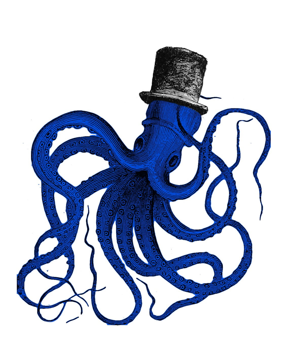 Blue Octopus in a Top Hat. Beautiful Fine Art Victorian Era - Etsy