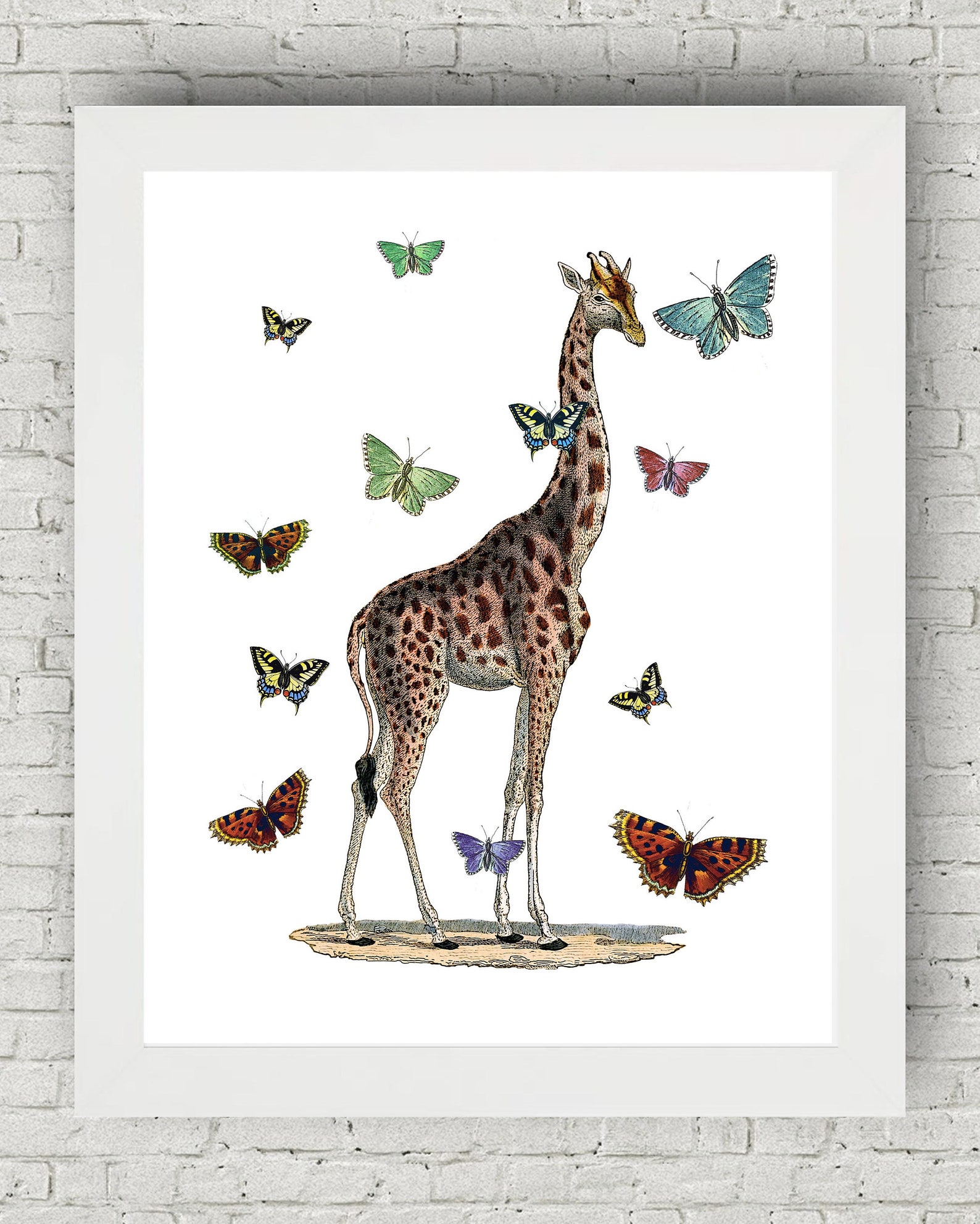 Giraffe Surrounded by Butterflies. Beautiful Africa Safari - Etsy