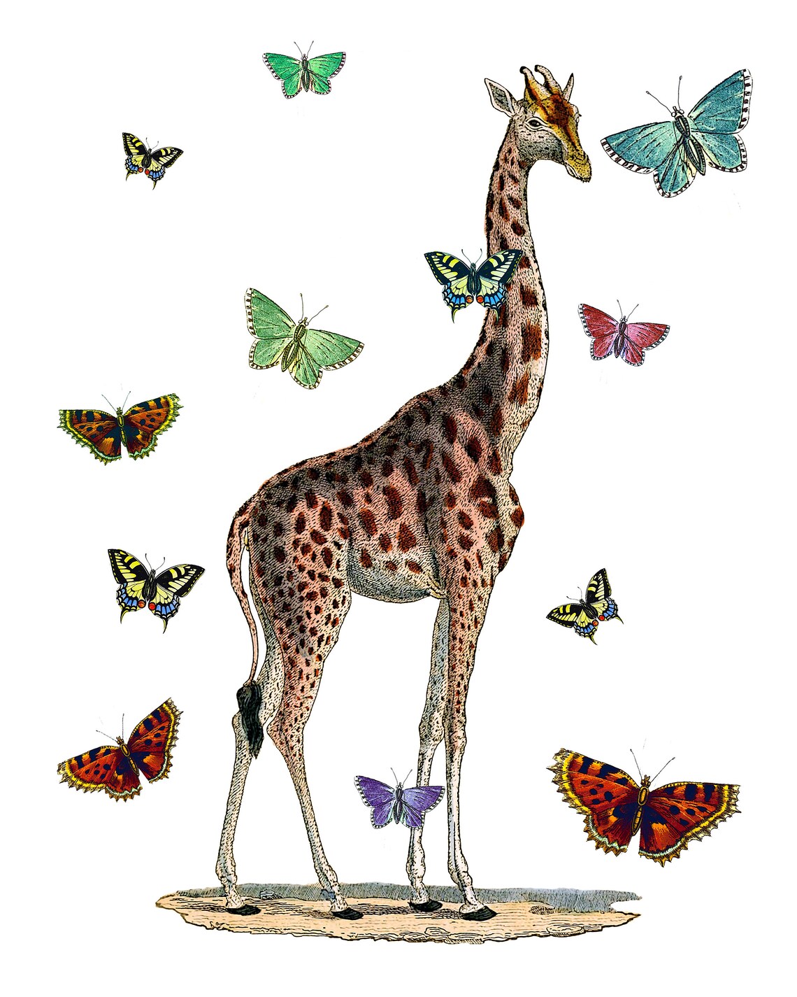 Giraffe Surrounded by Butterflies. Beautiful Africa Safari - Etsy