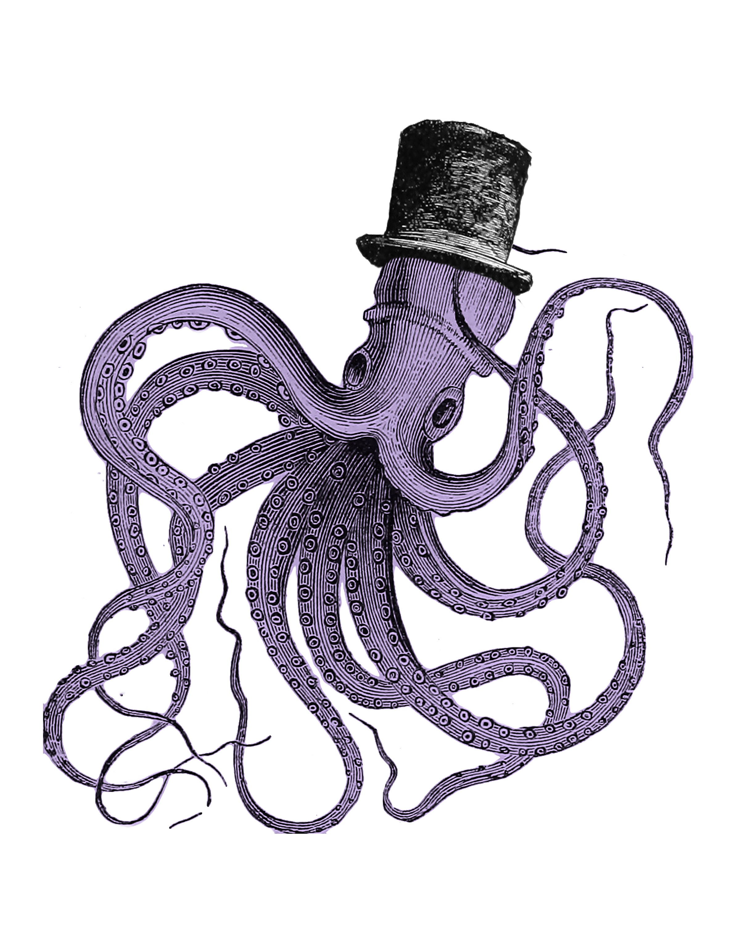 Purple Octopus in a Top Hat. Beautiful Fine Art Victorian Era - Etsy