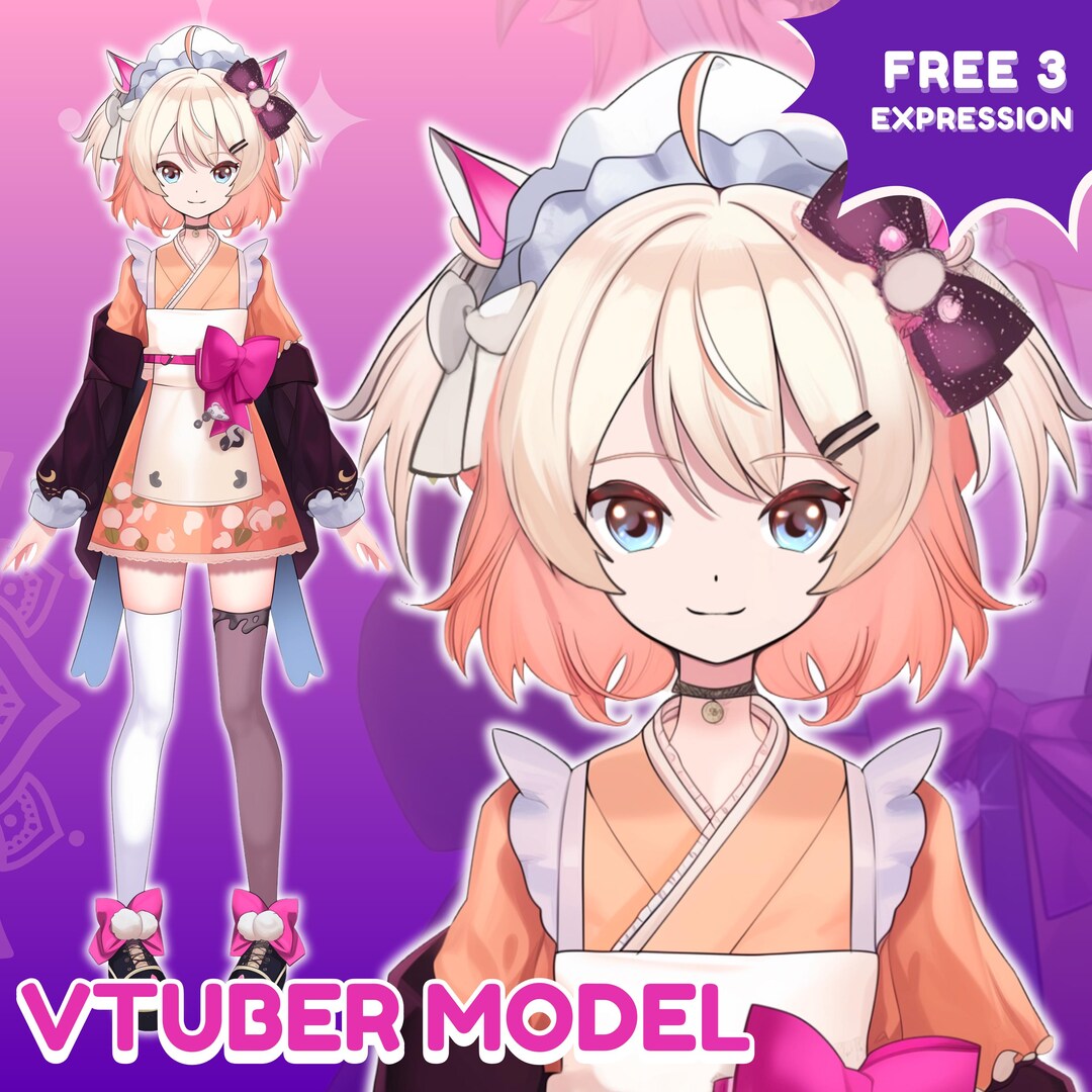 Custom Live2d Vtuber Model, Vtuber Design, Vtuber Asset, Live2d Model ...