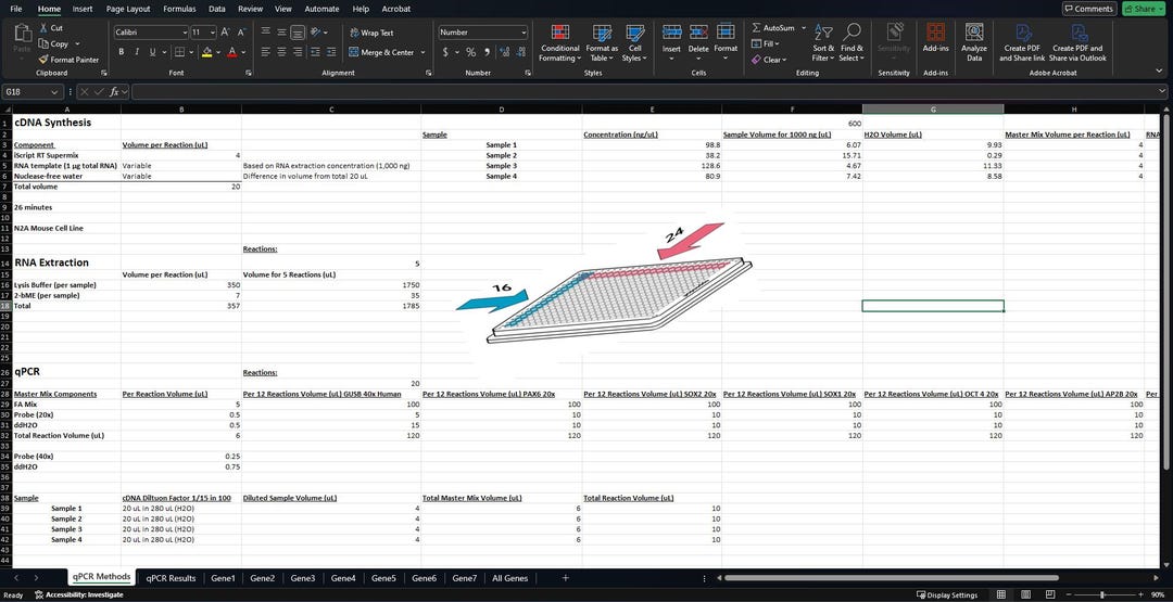 Qpcr Set-up & Calculationtemplate - Etsy