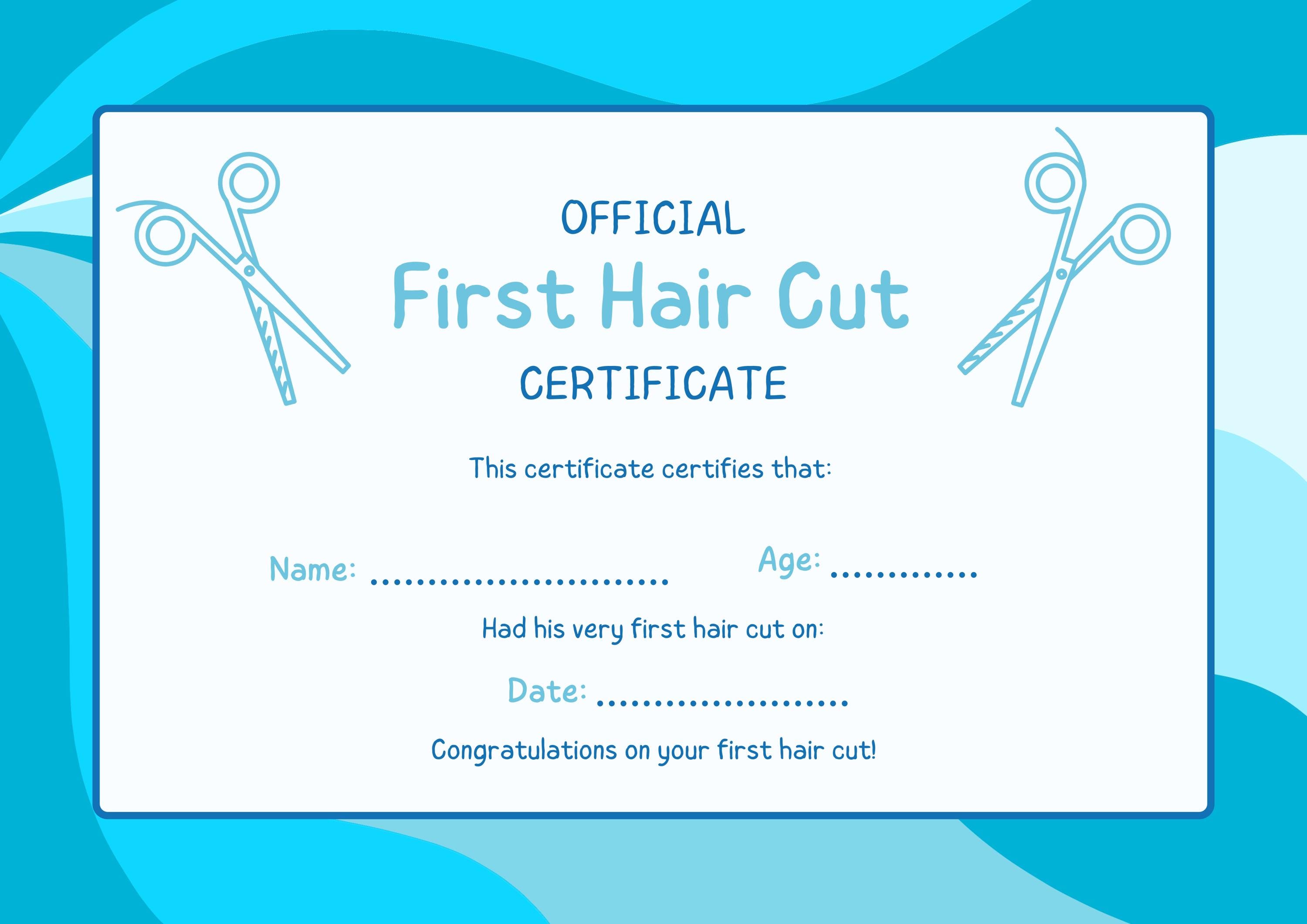 Printable: My Very First Haircut Certificate for Him - Etsy