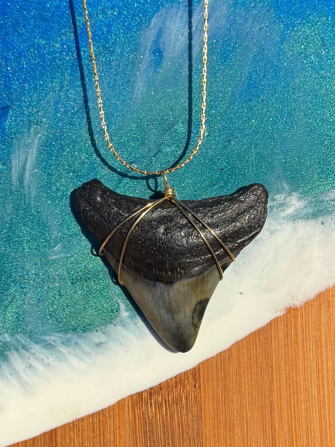 Rare Posterior Megalodon Tooth Necklace – Hand Collected NC Fossil ...