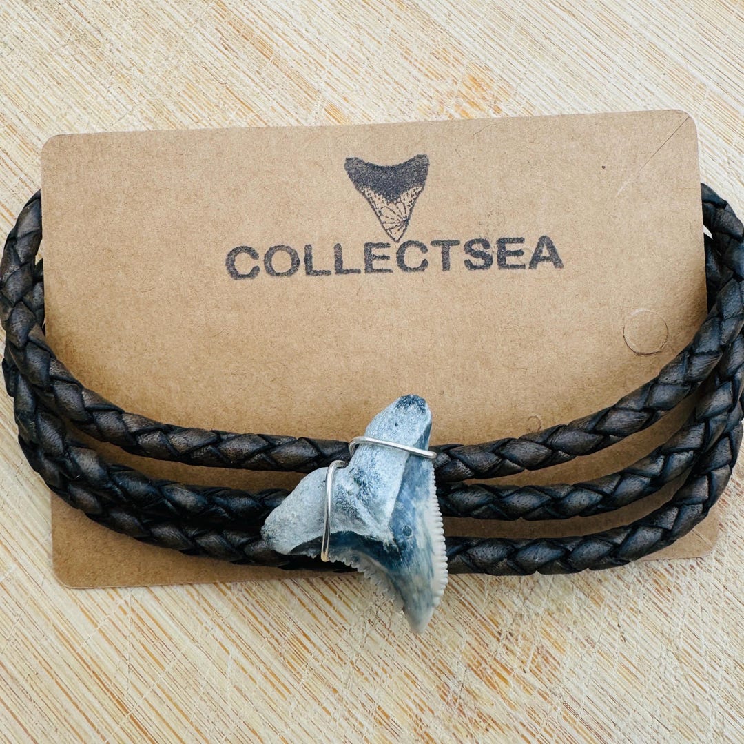 Genuine Bolo Brown Leather Hemipritus Serra Shark Tooth Bracelets 9 - Etsy